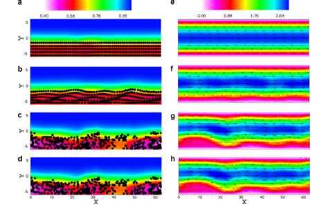 temporal evolution of particle distribution during fluidization by lift
