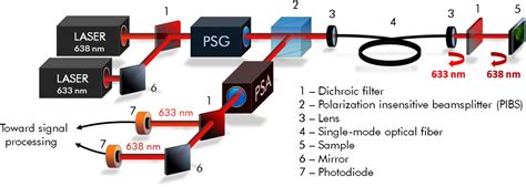 Optical Fiber Based Full Mueller Polarimeter For Endoscopic Imaging