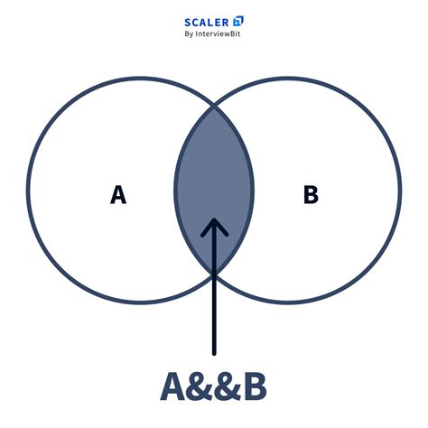 Boolean In C With Examples Scaler Topics