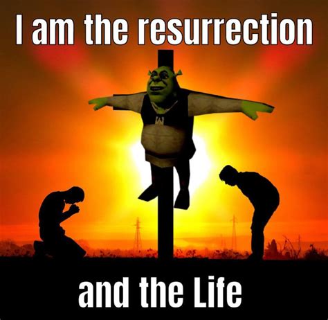 Shrek Face Meme Idlememe Shrek Shrek Memes Interesting Faces My Xxx