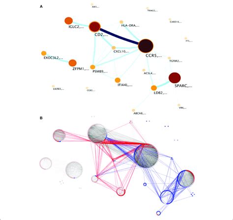 Modular Structure Of The Largest Component Of The Network Twenty One
