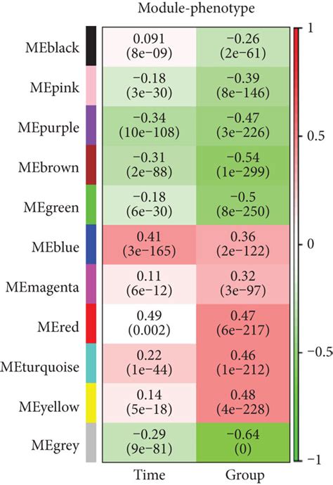 The Wgcna Modules A A Adjacency Matrix Weight Parameter Power Download Scientific Diagram