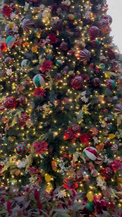 시드니 메리크리스마스 Youtube