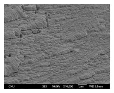SEM Photographs Of Surface Of A SPI Glycerol Without PVA B Download Scientific Diagram