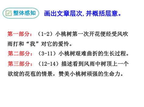 2021 2022学年部编版语文七年级下册19一棵小桃树课件共25张ppt 21世纪教育网 二一教育