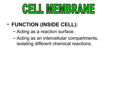 Basic Cell Life Structure And Eukaryotic Vs Prokaryotic Ppt