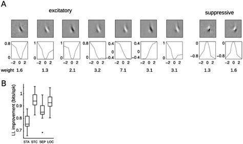 A The Spike Triggered Analysis Of A Typical Simple Cell Identifies Download Scientific Diagram
