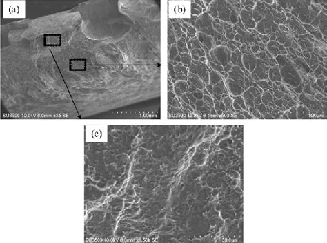 Fracture Morphologies Of The Tensile Fracture Mode 1000 Rpm A The