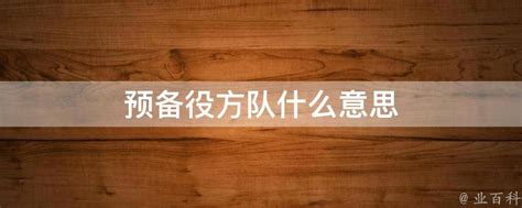 预备役方队什么意思 业百科