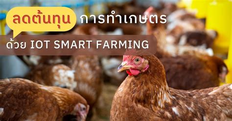 ลดต้นทุนการทำเกษตรด้วย Iot Smart Farming Smartfarm