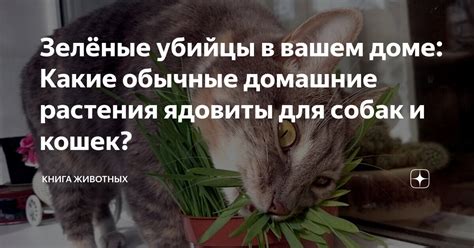 Зелёные убийцы в вашем доме Какие обычные домашние растения ядовиты для собак и кошек Книга