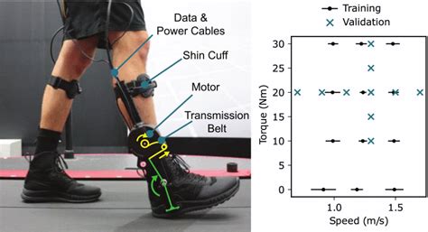 Exoboot Gait Phase Estimation Model