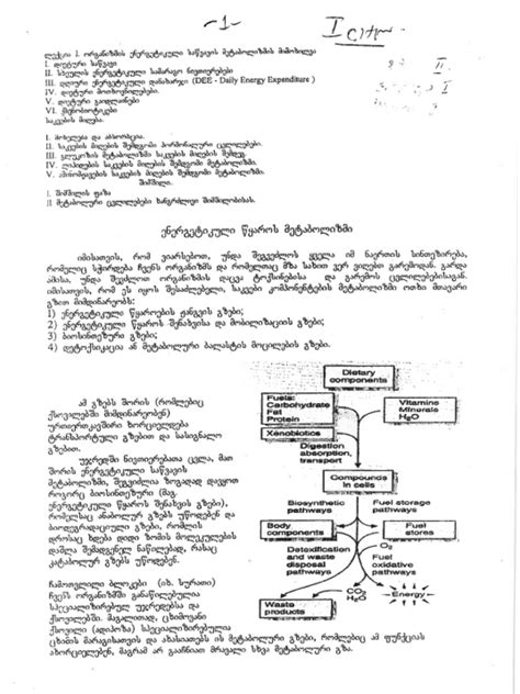 ენერგეტიკული წყაროს მეტაბოლიზმი Pdf