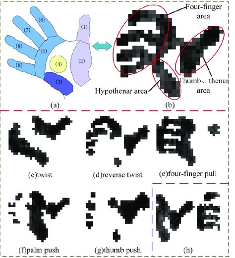 Grasping State And Posture Classification Based On Hand Region