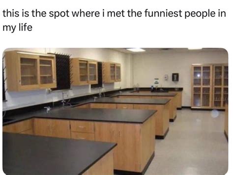 Introverts Most Like Me Too Album On Imgur