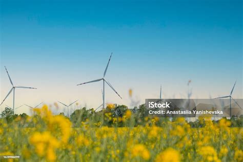 해질녘 시골 지역의 흐린 푸른 하늘을 배경으로 풀이 무성한 노란 들판에 있는 풍력 터빈 폴란드 유럽 농지에 폭풍우가 몰아치는 구름이 있는 해상 풍차 공원 전기를 생산하는