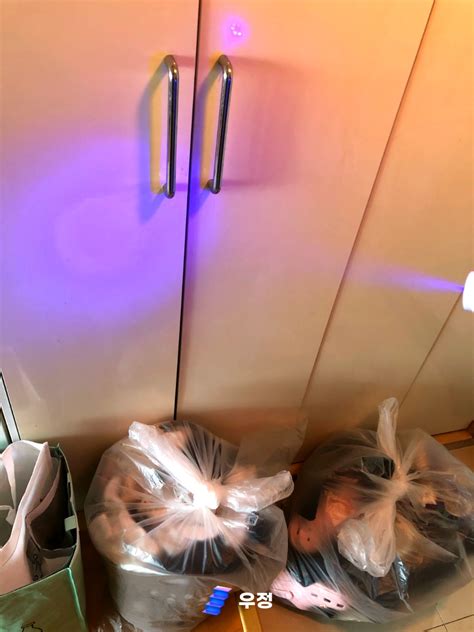 우울증 극복을 위한 쓰레기집 청소 우아한정리 생활꿀팁 저장소