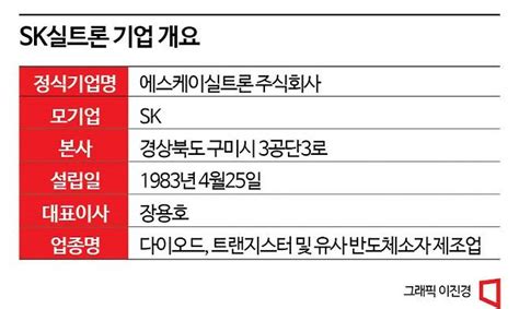 칩포메이션 반도체 생명수 자립 이끌 Sk실트론