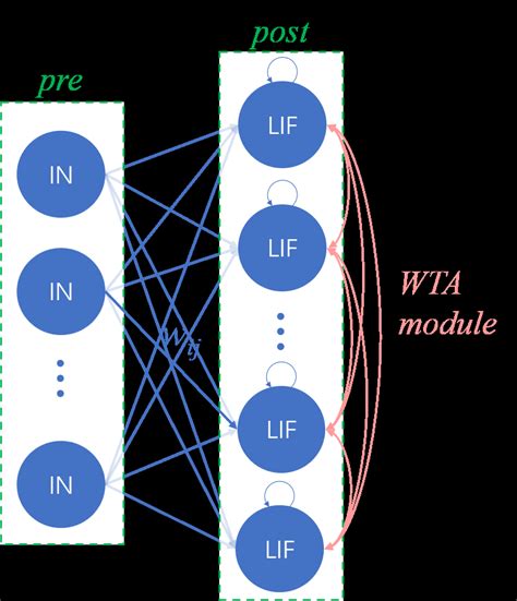 The Schematic Of The Proposed Two Layer Snn With A Wta Module Download Scientific Diagram