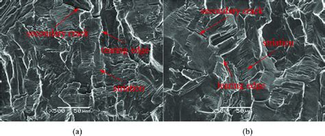 Typical Sem Micrographs Of The Fracture Surface For The Region B Download Scientific Diagram