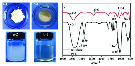 Comparison Of The Morphology And Solubility In Water Of Cellulose Download Scientific Diagram