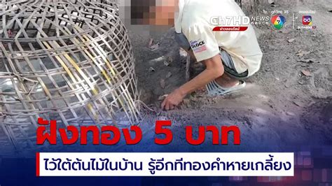 ข่าวตาอายุ 71 ปี ฝังทองคำ 5 บาท ไว้ใต้ต้นลำไยในรั้วบ้าน หายไร้ร่องรอย