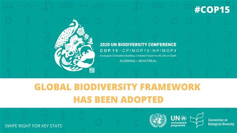 Global Biodiversity Framework Has Been Adopted Asean Clearing House