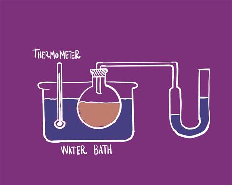 Reaction Rate Lab — Dataclassroom