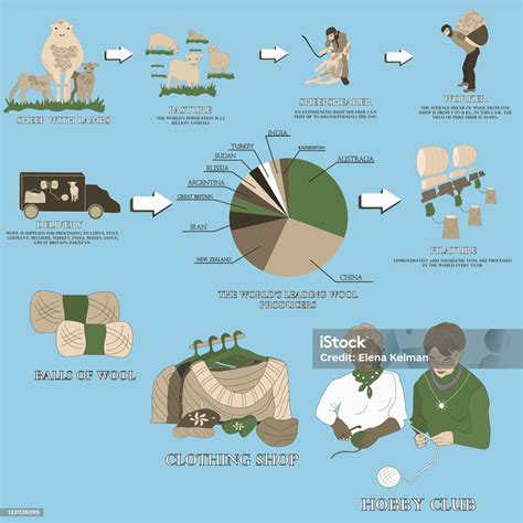 Stages Of Wool Production Sheep Shearing Wool Delivery Filature Yarn