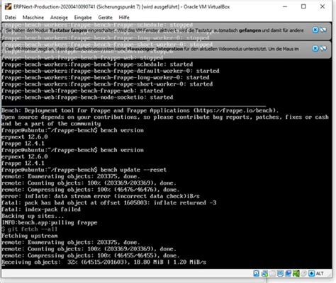 Cannot Update Erpnext Install Update Frappe Forum