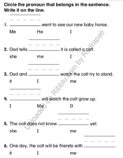 class 1 english grammar paper at amanda hackler blog