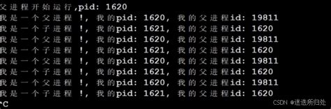 Linux系统 —— 进程系列 进程的概念，pcb与pid和forkpcb Pid Csdn博客