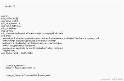 Nginx Gzip压缩 Csdn博客