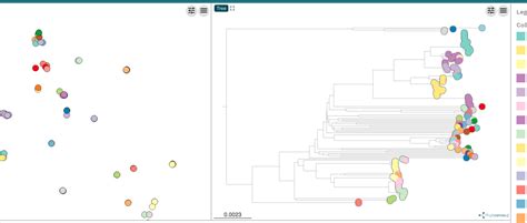 Avrilomics Visualisation Of A Poppunk Database Using Microreact