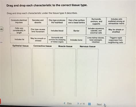 Solved Drag And Drop Each Characteristic To The Correct
