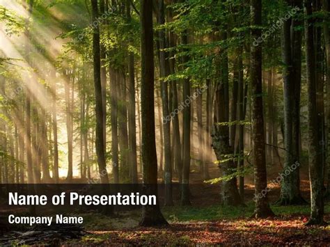 Trees Powerpoint Backgrounds Free