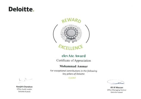 Deloitte Mohammad Ammar 17 Comments