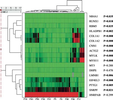Hierarchical Clustering Heat Map For Tumor RNA Expression In CRC Download Scientific Diagram
