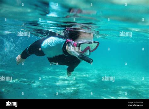 Young Man Snorkling Underwater With Manatees In Three Sisters Spring