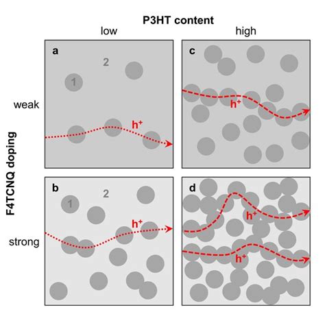 A Chemical Structure Of Poly Ethylene Oxide Peo Download Scientific Diagram