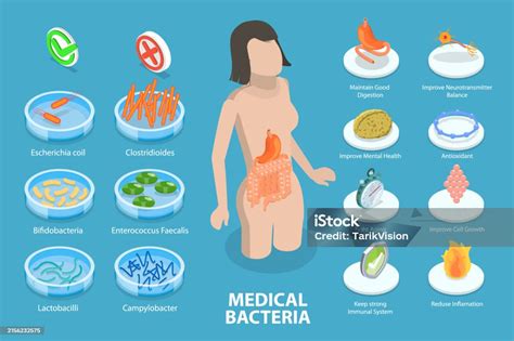 의료용 박테리아의 3d 등각 투영 평면 벡터 개념 그림 3차원 형태에 대한 스톡 벡터 아트 및 기타 이미지 3차원 형태