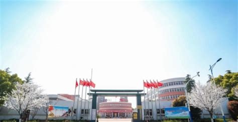 希望工程“大眼睛”女孩苏明娟来沪 开启希望工程2 0篇章 腾讯新闻