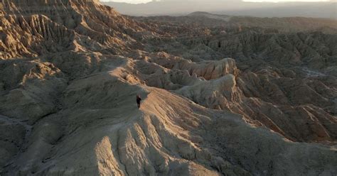 The Endangered Generation Docplay