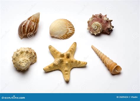 Group Of Ocean Objects Stock Images Image 2609424