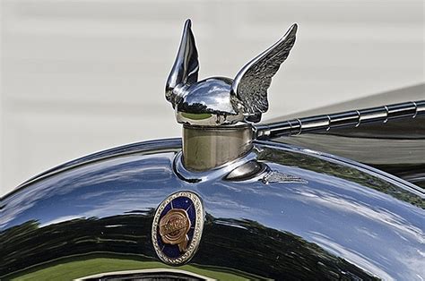 날개 달린 엠블럼 누가 먼저 사용했을까 엔카 미디어