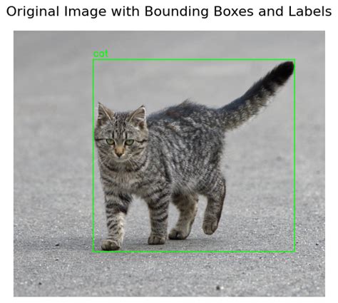 User Guide 2 Running Your First Object Detection Model On A Hailo Device Using Degirum Pysdk