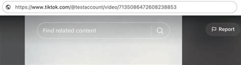 How To Embed TikTok Feeds In WordPress Step By Step