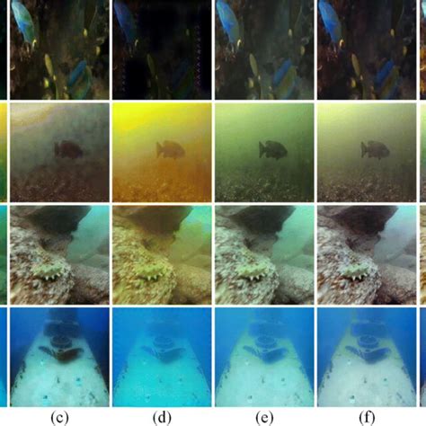 The Network Architecture Of Our Proposed Method For Underwater Image