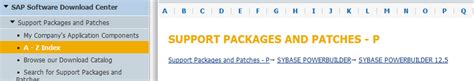 powerbuilder 12 5 2 ebf sap community