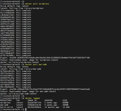 How To Use Docker Compose To Launch Multi Container Application